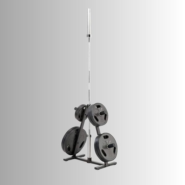 5 Bumper Plate Storage Solutions: Your Weightlifting Space Deserves an ...