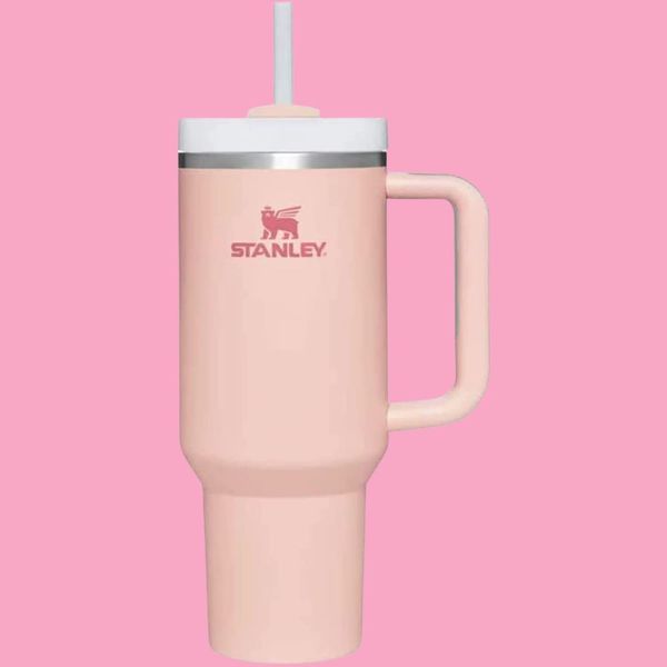 A Pink-tastic Showdown: Comparing 5 Stanley Tumblers For The Ultimate ...